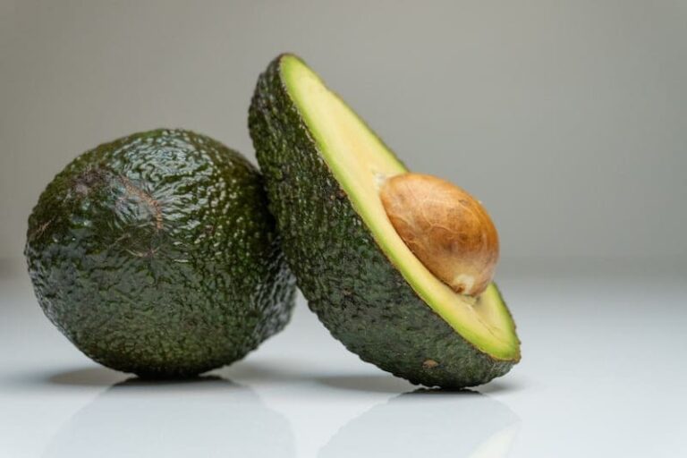 Cultivo De Aguacate Hass En Colombia: Descubre 5 Secretos